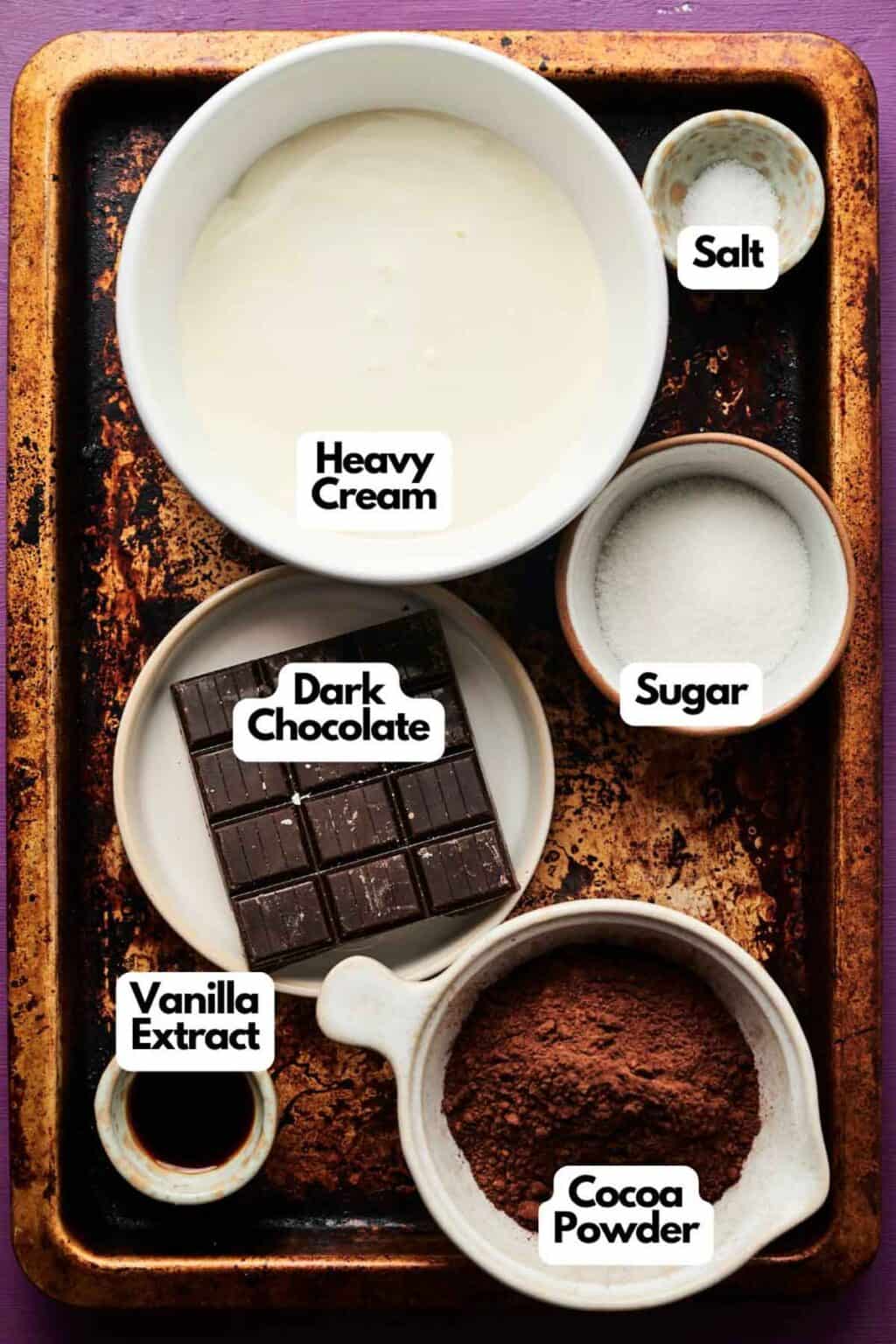 Homemade Chocolate Ice Cream Recipe