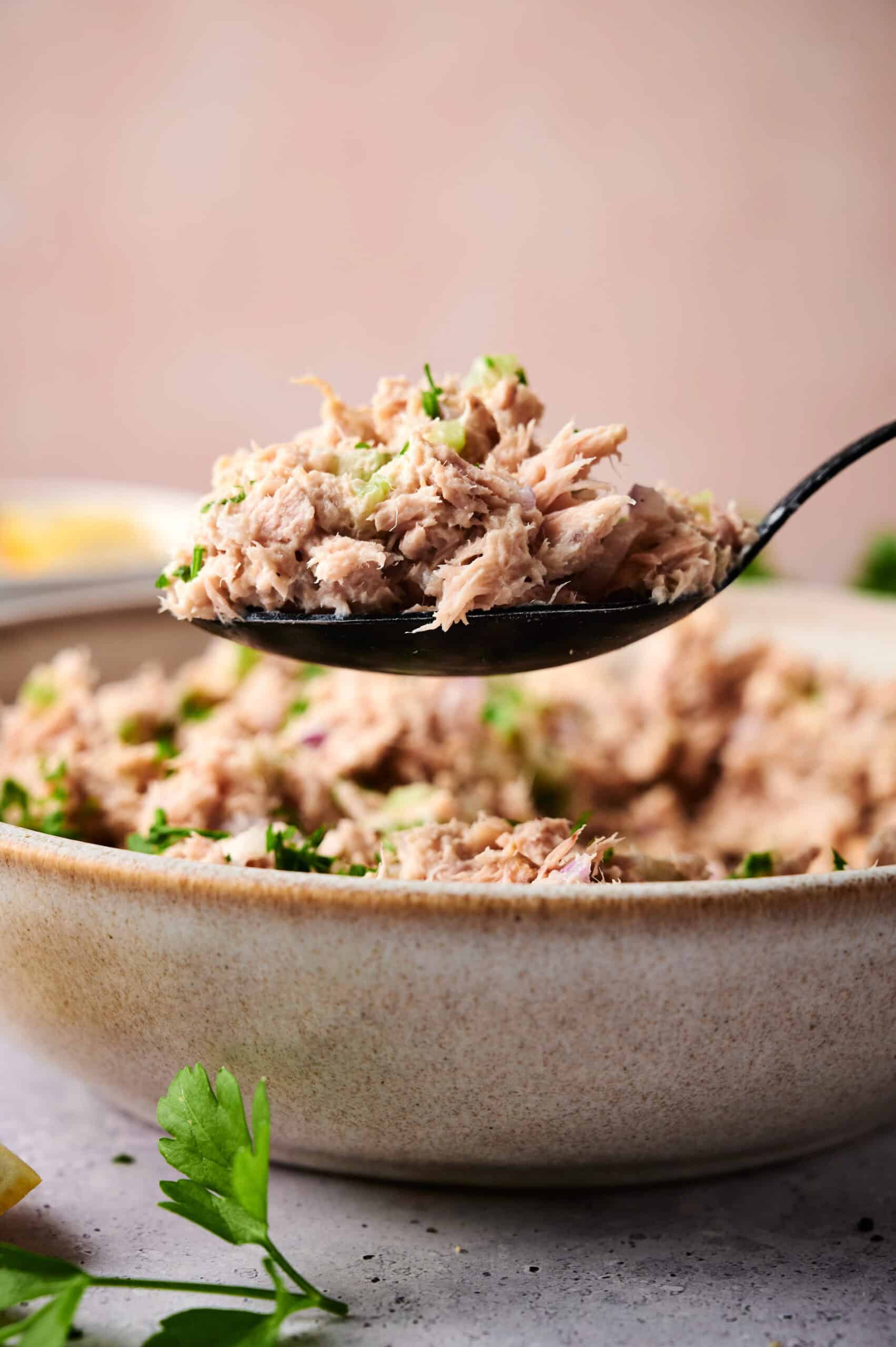 Easy Tuna Salad Recipe