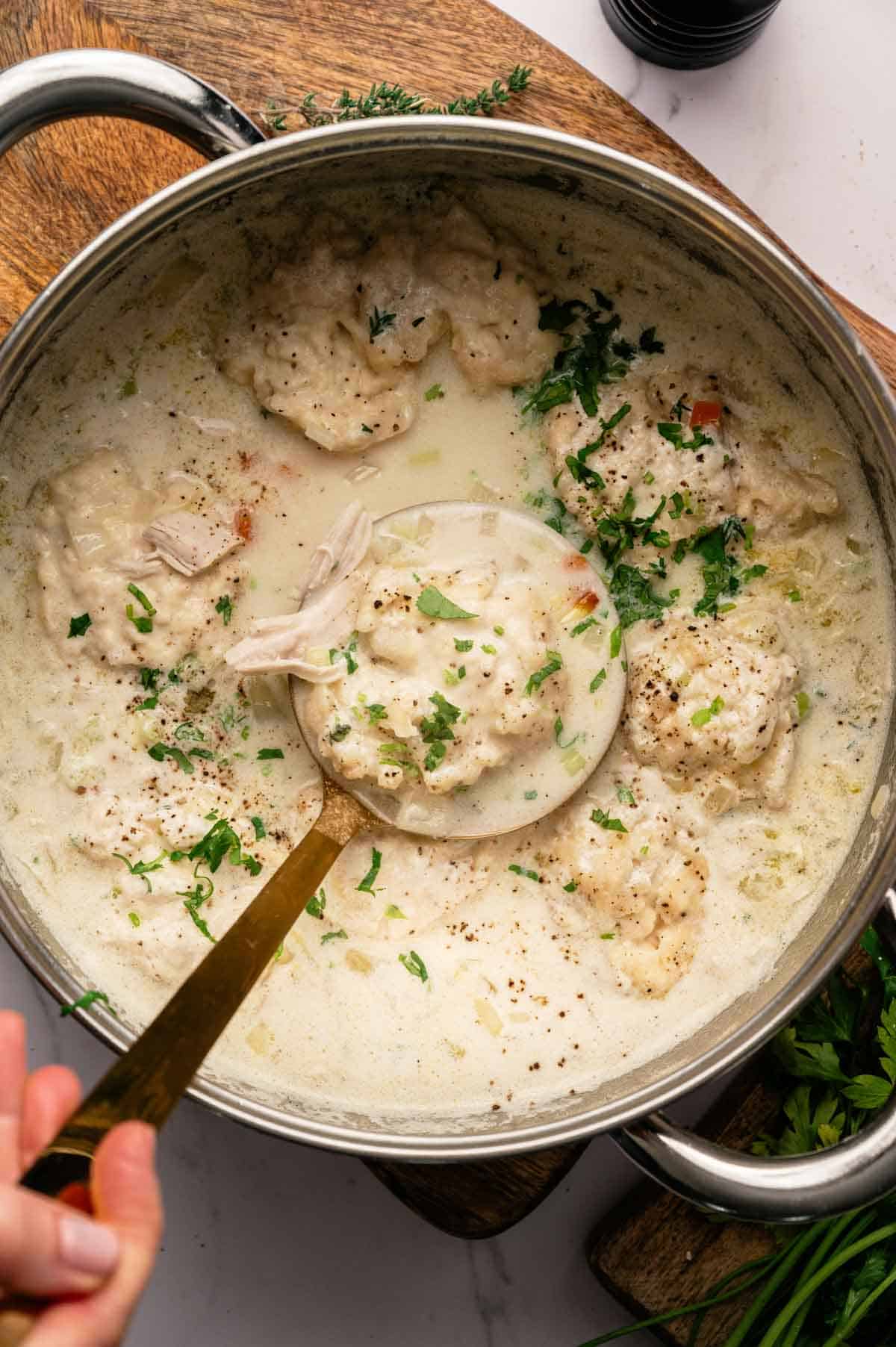 Best Homemade Chicken Dumpling Soup Recipe - Hungry Cooks Kitchen